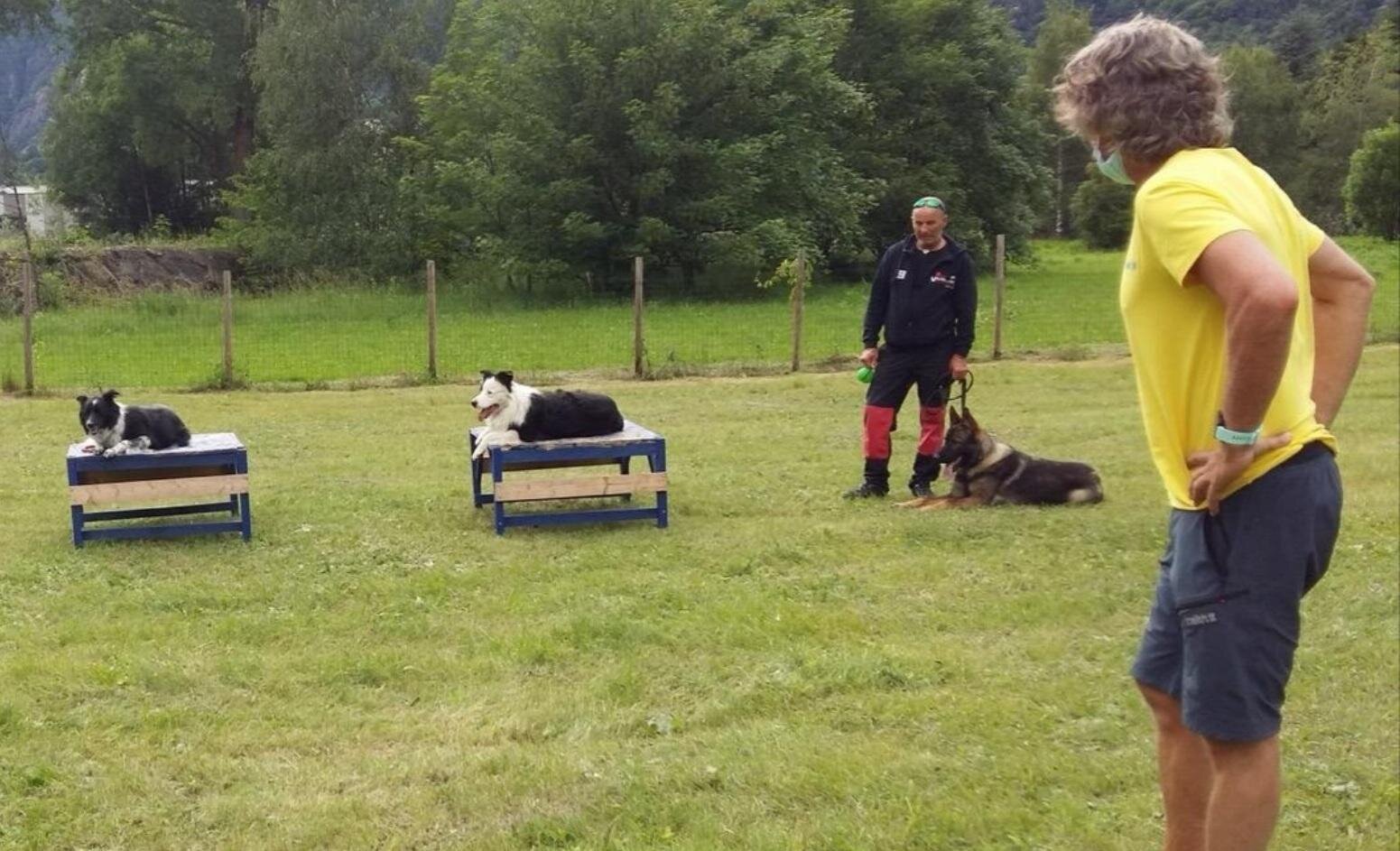 Area di addestramento cani San Rocco
